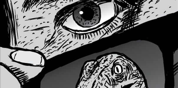 Why You Need to Learn to See the Supernormal Before You Can Silence ...