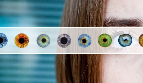 An Experiment in Empathy: 7 Journeys Into the Minds of Others ...