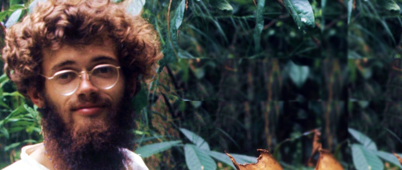 Terence Mckenna Mushrooms